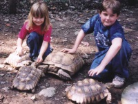 Complete List of Pennsylvania's Best Zoos